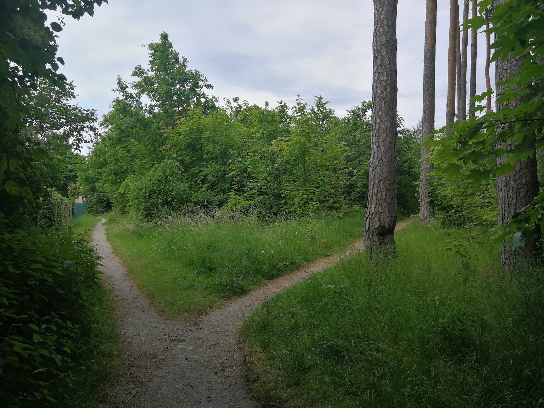 Suchdol nad Lužnicí